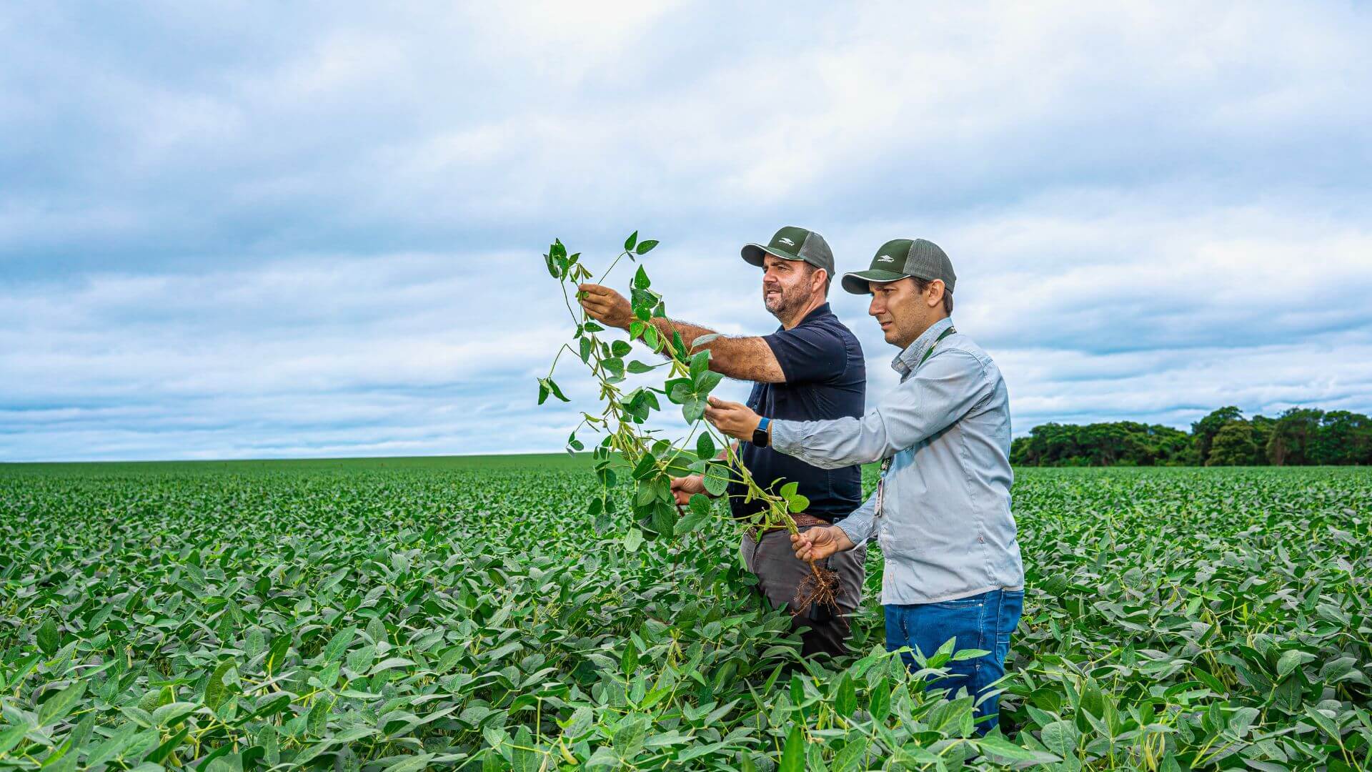 Agrotec S.A. › Innovación y Tecnología para el Agro Paraguayo