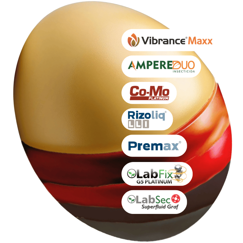 Pack de Tratamiento de Semillas TSI FORT MAXX › Agrotec