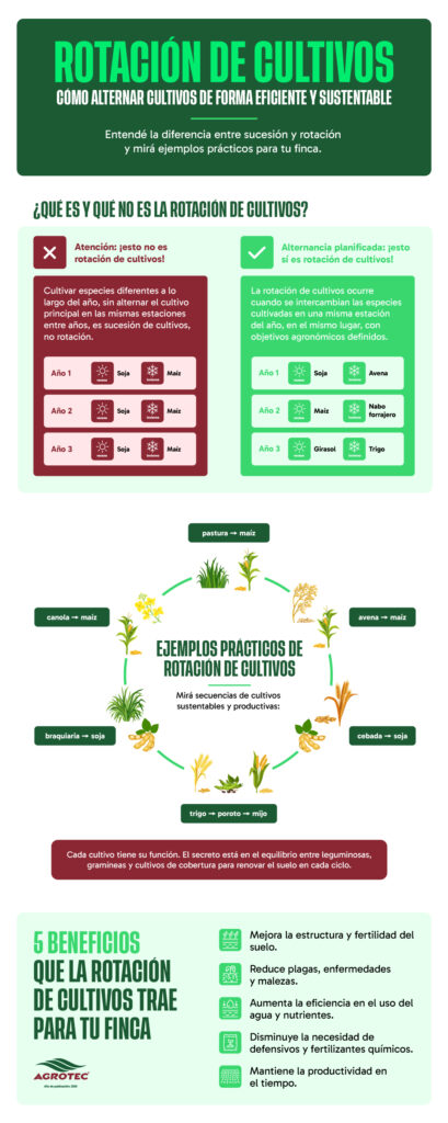 ¿Cómo hacer rotación de cultivos? › Agrotec