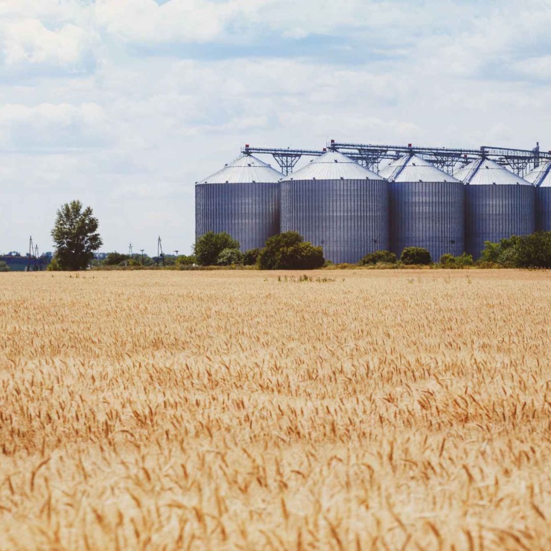 Guía para el acopio de granos: aprenda cómo hacerlo › Agrotec